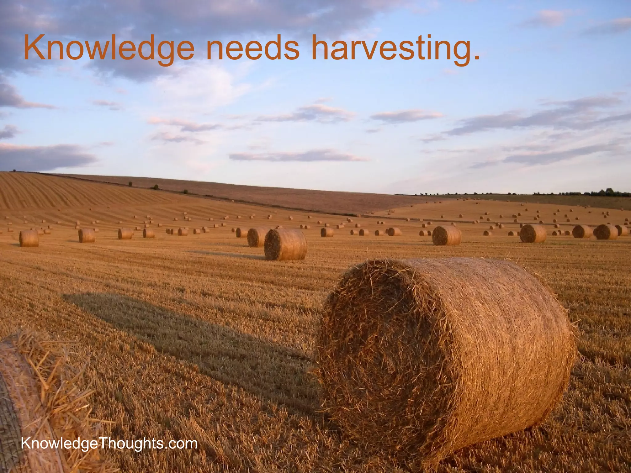 Knowledge Management thought starters | PPT