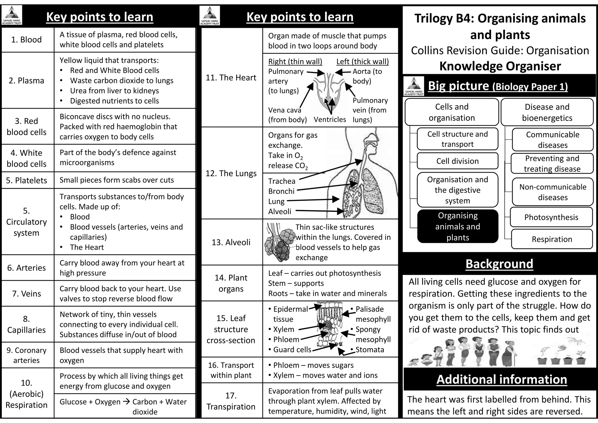 Science knowledge organisers for AQA Science | PDF