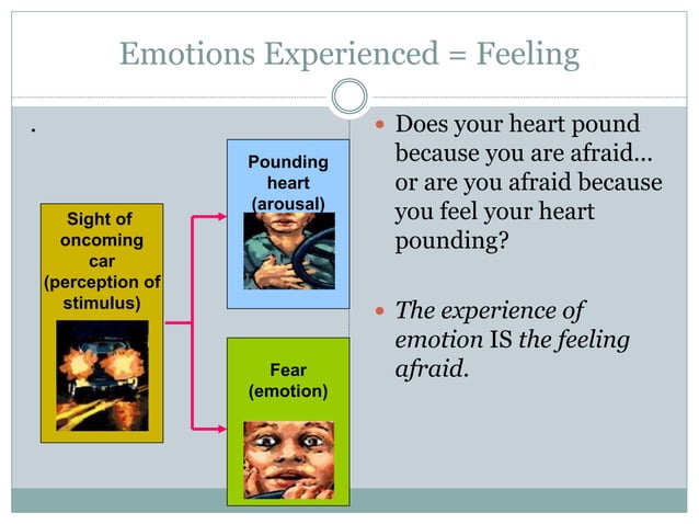Knowledge and emotion | PPTX