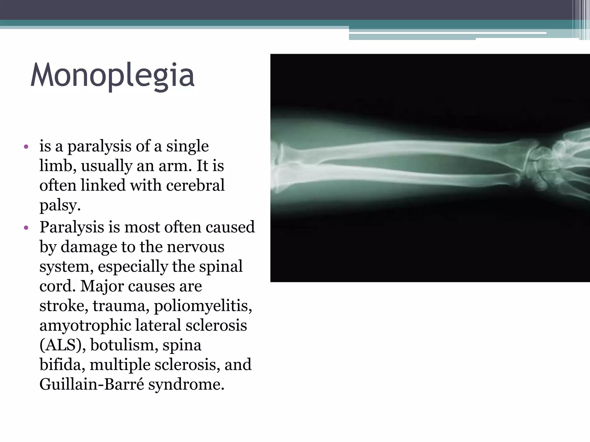 Knowledge Assignment 3 | PPT
