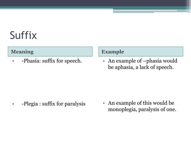 Knowledge Assignment 3 | PPT