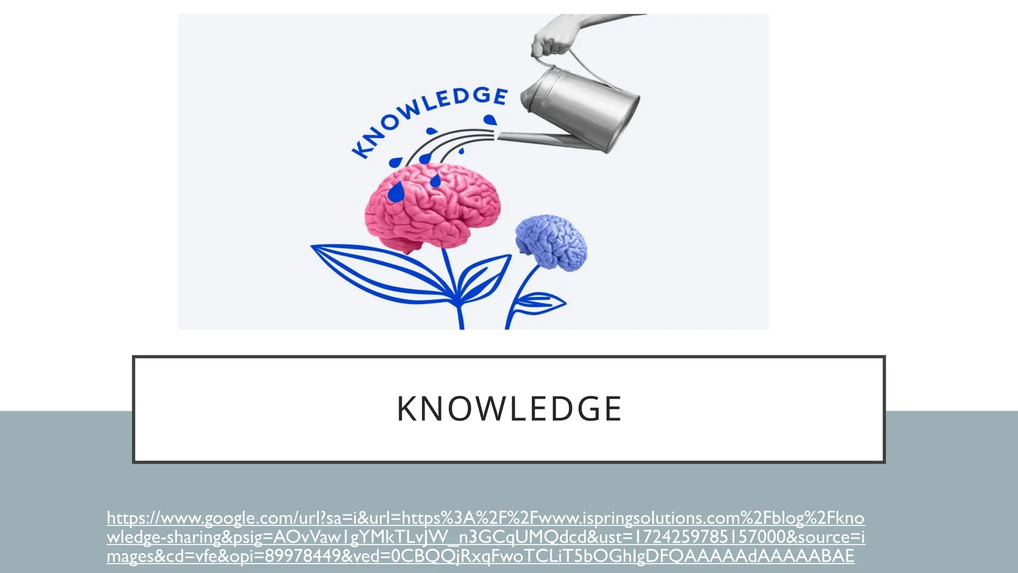 Knowledge Economy: definition, characteristics, and examples.pptx