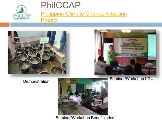 Knowledge management and climate change (PhilCCAP) | PPT
