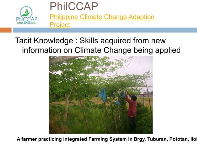Knowledge management and climate change (PhilCCAP) | PPT