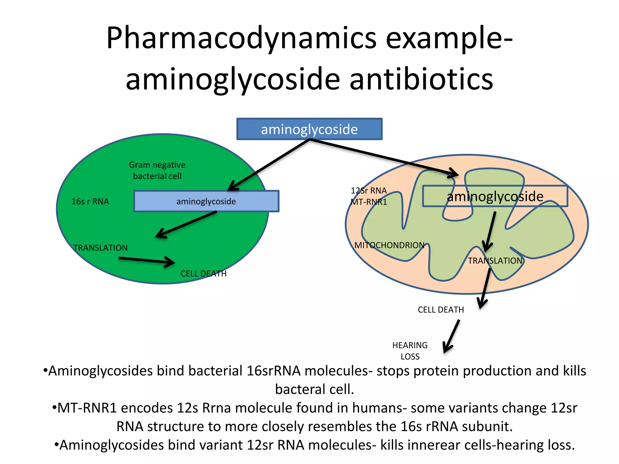 Knowledge of Pharmacogenomics.pptx
