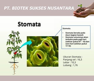 TABEL INFORMASI KNOWLEDGE ITEM PRODUK.pdf