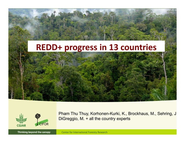 REDD+ progress in 13 countries | PPT