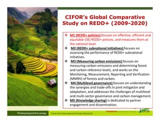 REDD+ progress in 13 countries | PPT