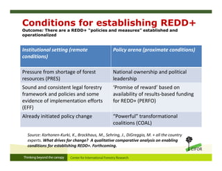 REDD+ progress in 13 countries | PPT