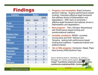REDD+ progress in 13 countries | PDF | Travel