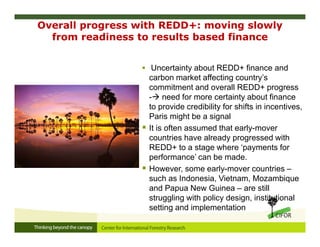 REDD+ progress in 13 countries | PDF | Travel