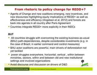 REDD+ progress in 13 countries | PDF | Travel