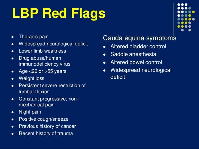 Knowledge Translation: Practical Strategies for Success v1