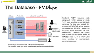 OS20 - Development of a new expert-curated foot-and-mouth disease virus ...
