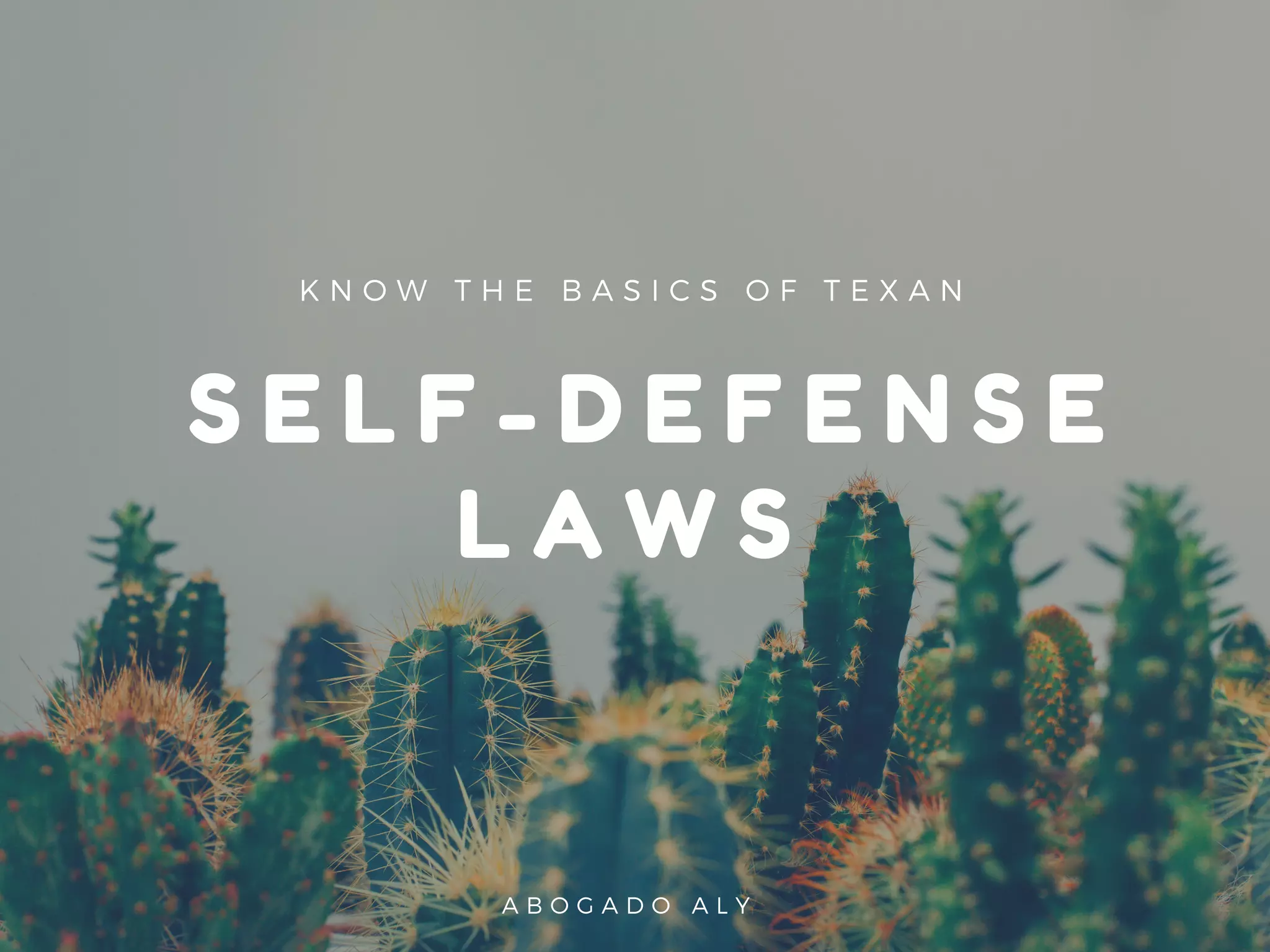 Know the Basics of Texan Self-Defense Laws | Abogado Aly | PDF