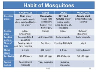 Know the Mosquito .pptx