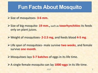 Know the Mosquito .pptx