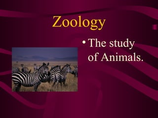 Know your ology!!! | PPT