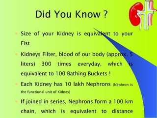 Know your kidney | PPT