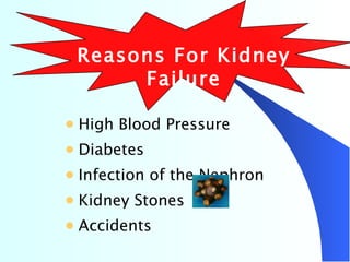 Know your kidney | PPS