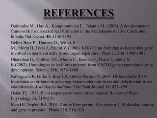 Knox genes and Abiotic Stresses | PPTX