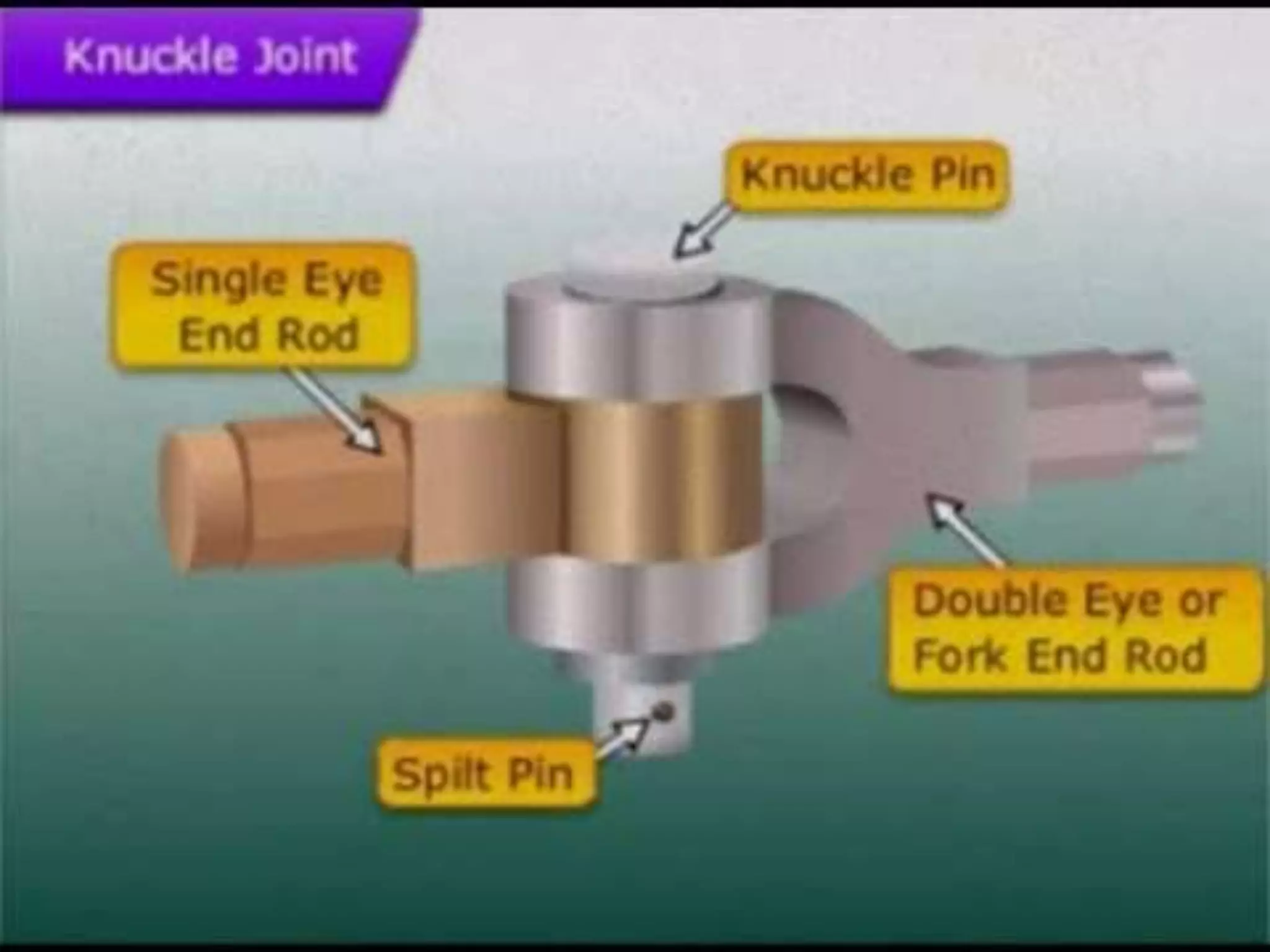 knuckle joint.pptx