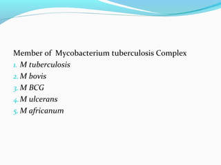 [Micro] mycobacterium tuberculosis | PPT
