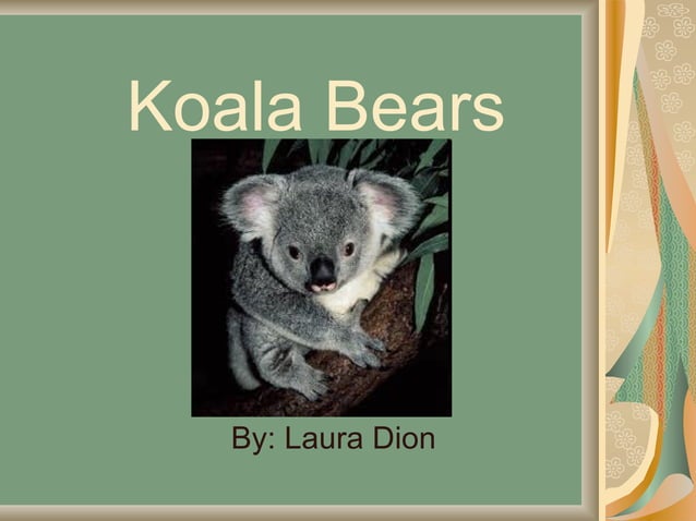 Laura Period 1Koala Bear | PPT