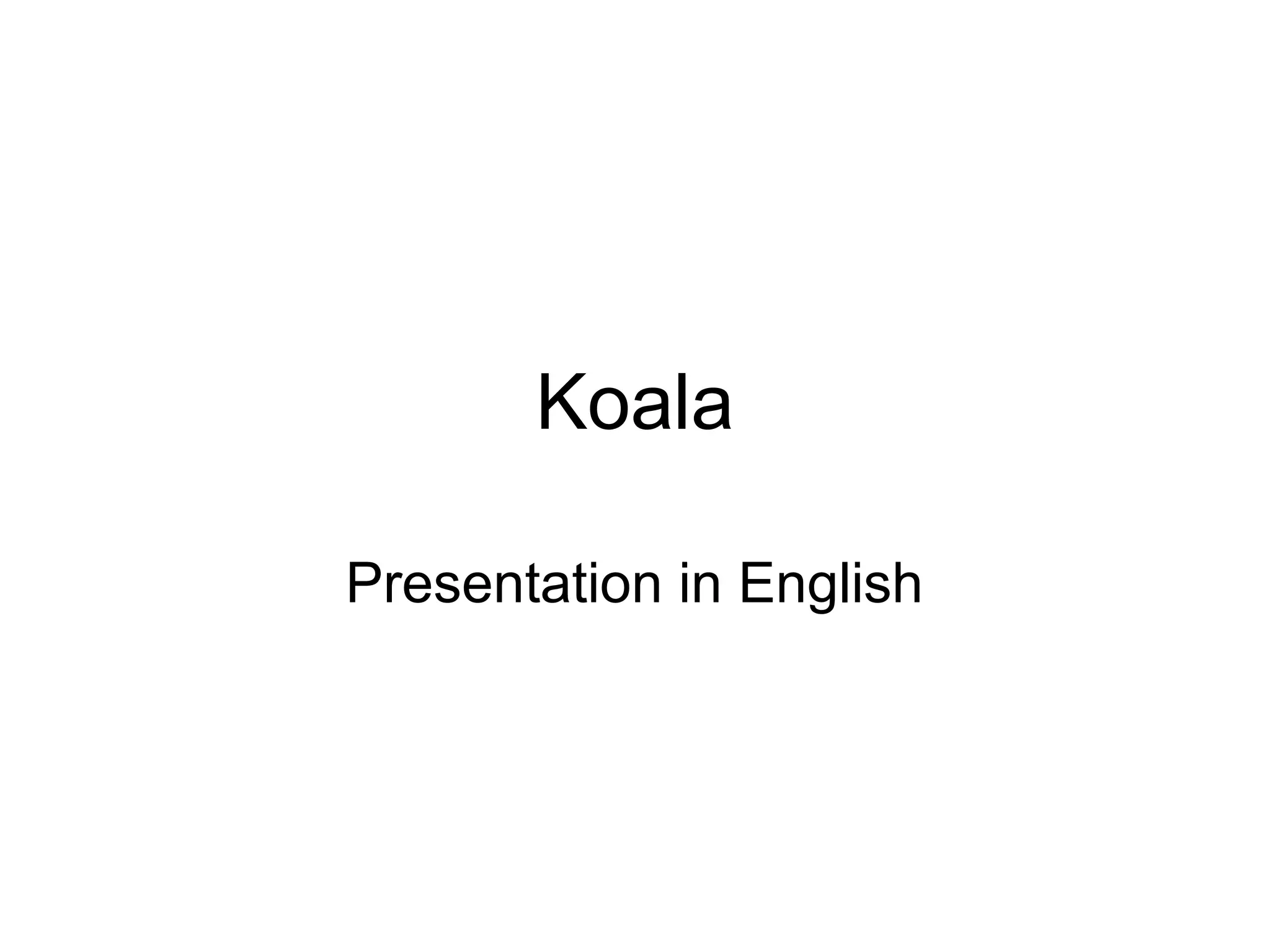 Koala (english) | PPT