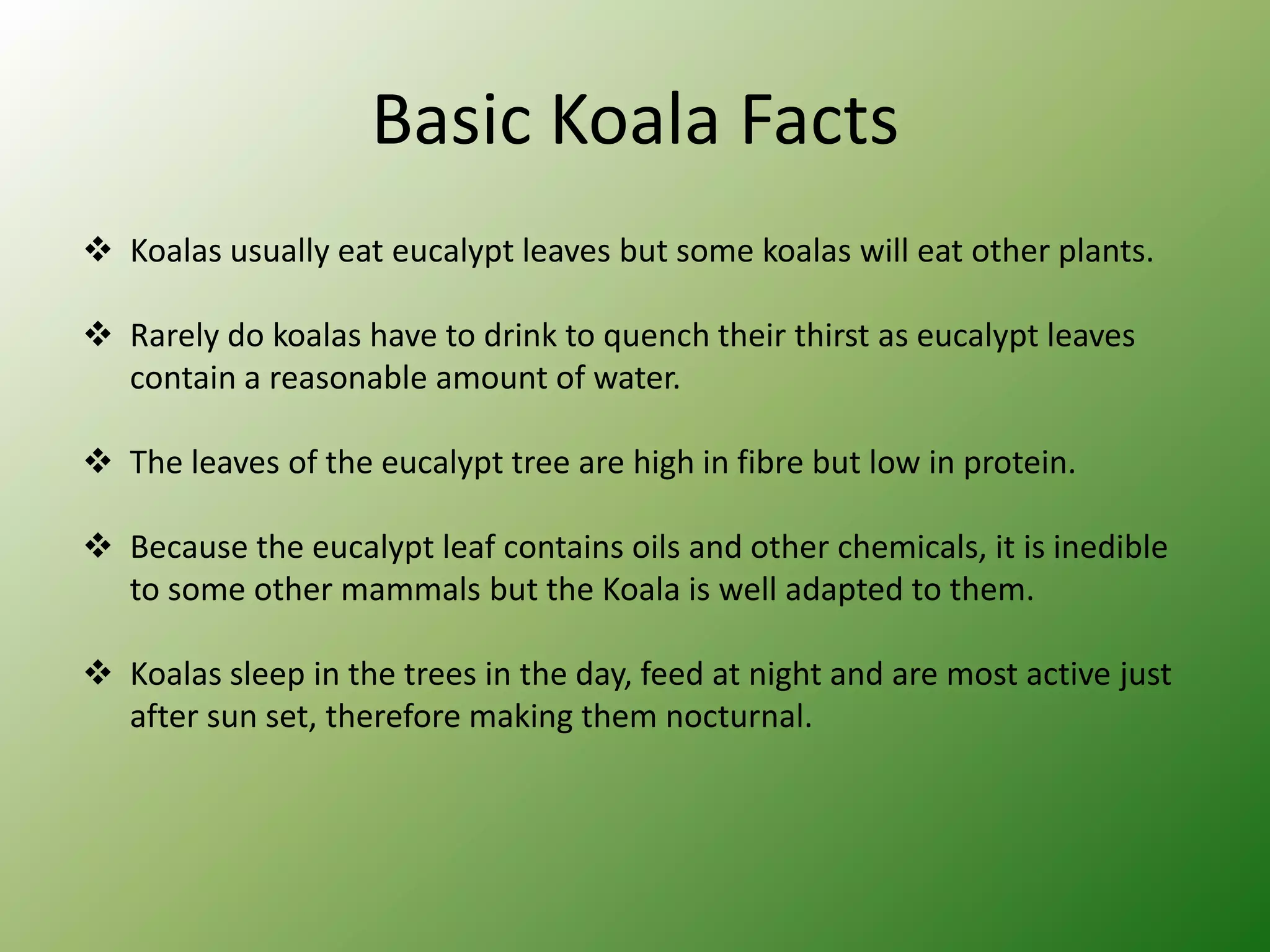Koala homework project | PPTX | Geography | Science