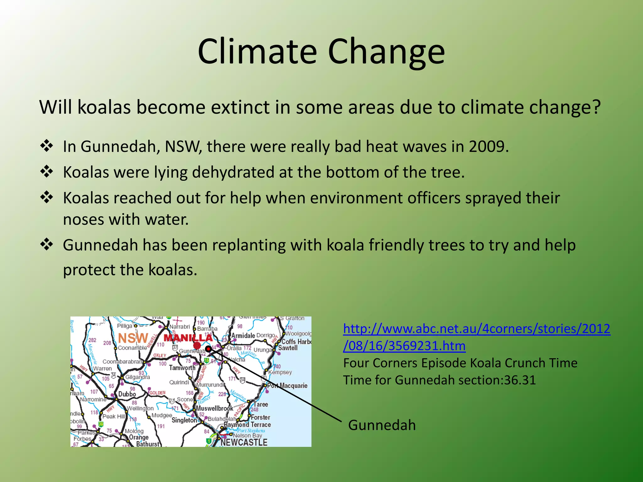 Koala homework project | PPTX