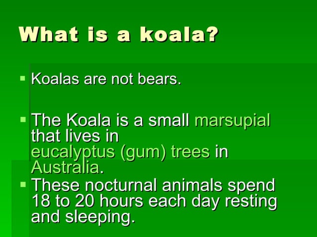 Koalas | PPT | Cats | Pets