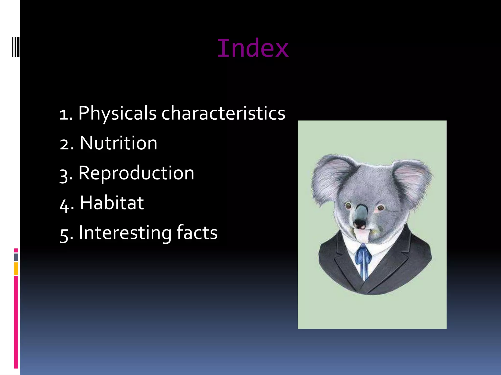 KOALAS | PPTX