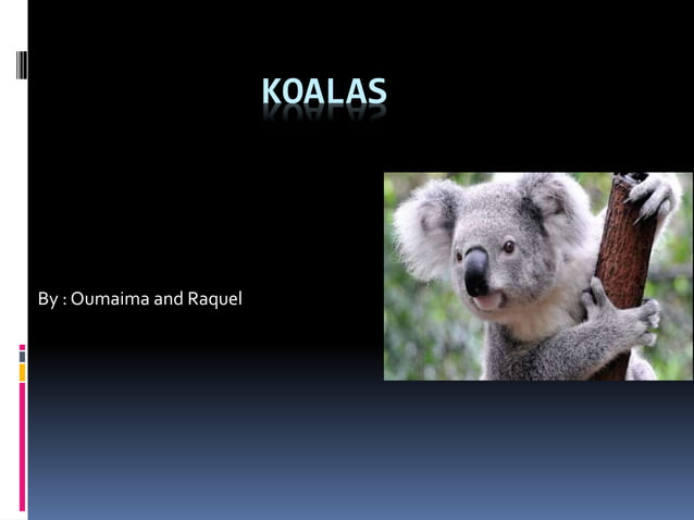 KOALAS | PPTX