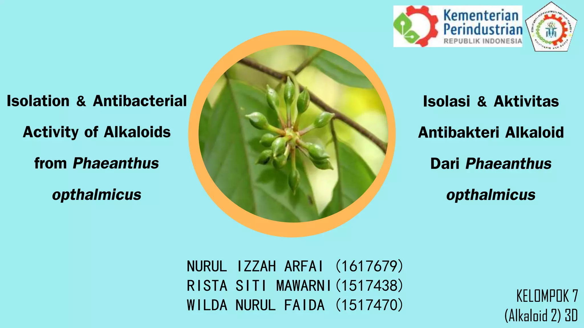 Kimia Organik Bahan Alam (Alkaloid) | PPT