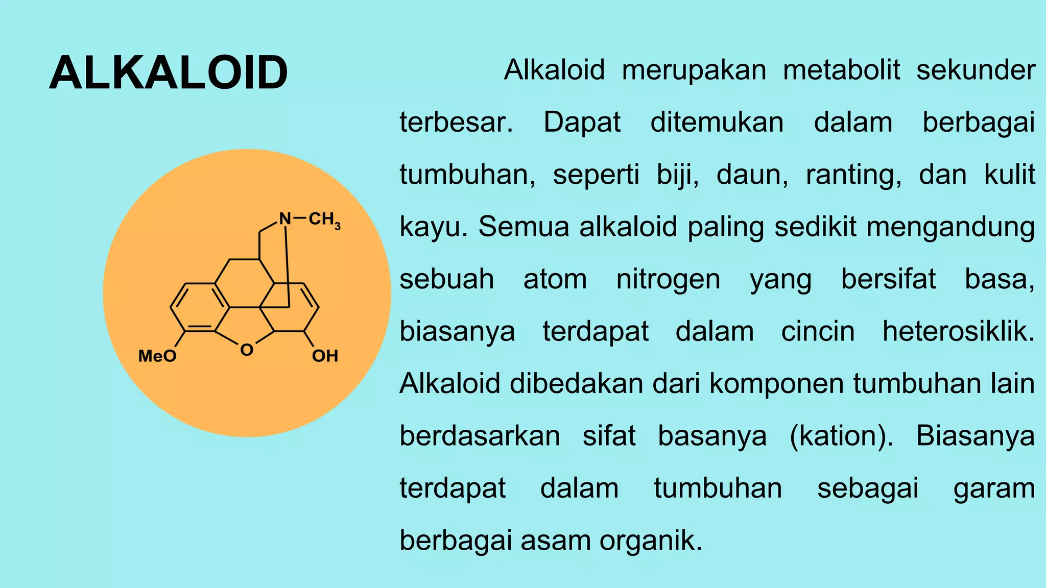 Kimia Organik Bahan Alam (Alkaloid) | PPTX