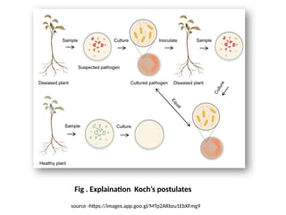 koch's postulates pathology notes 1.pptx