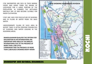 Kochi city study(intro, history, demography, infrastructure, economy ...