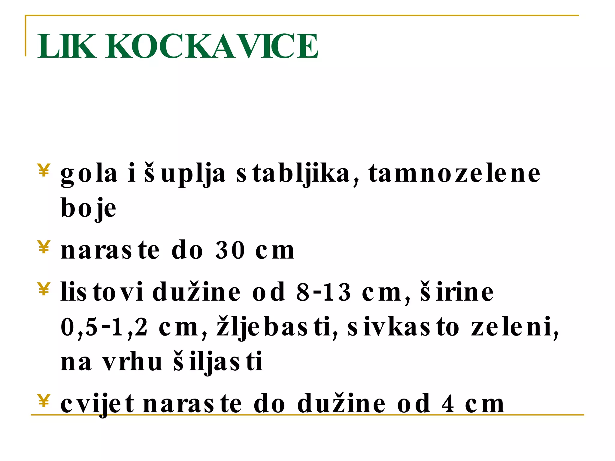 Kockavica, Ela Igrec | PPT