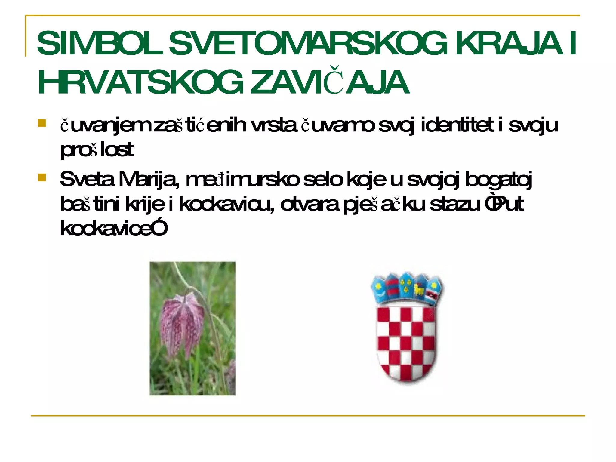 Kockavica, Ela Igrec | PPT