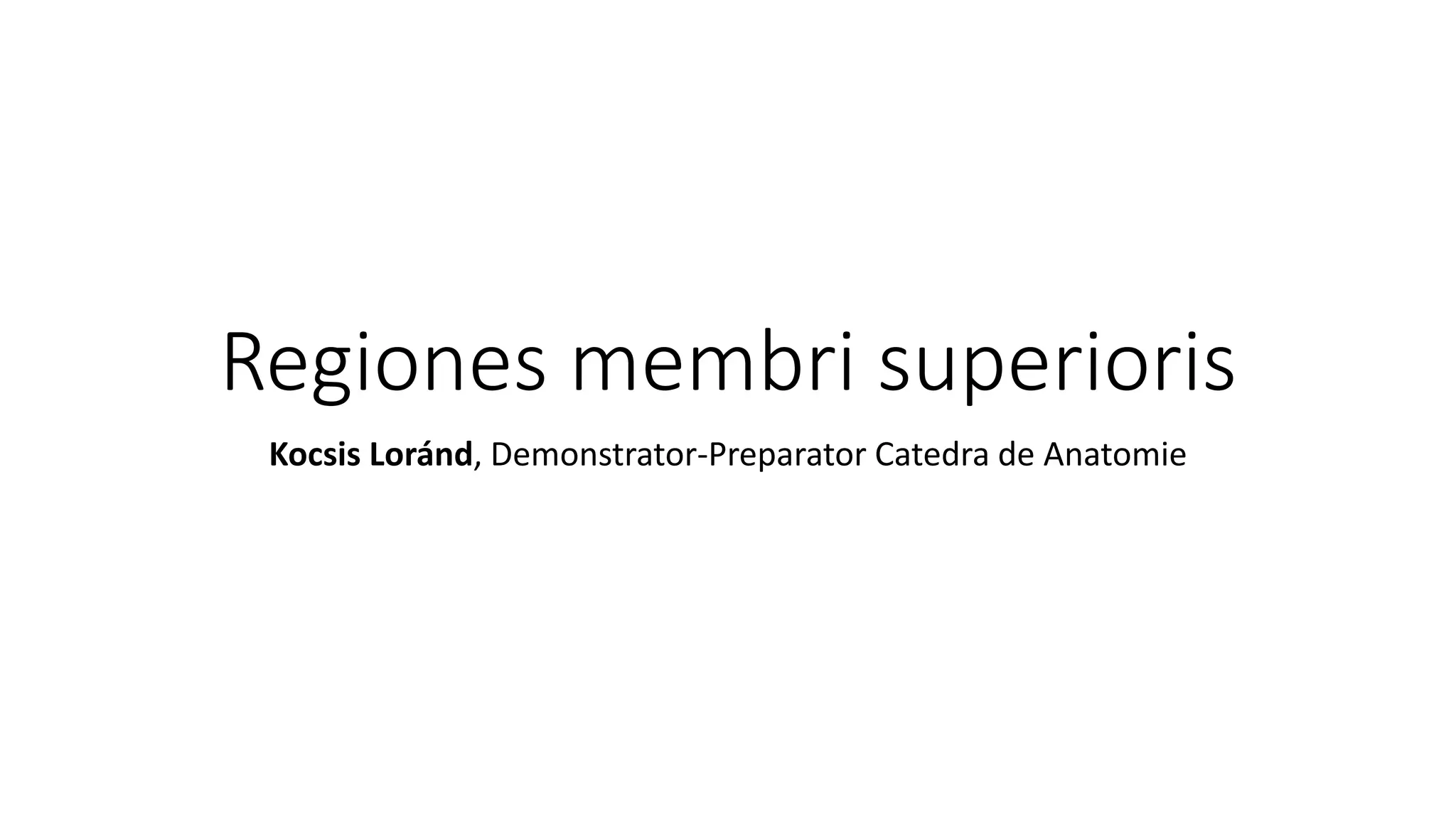 Anatomia membrului superior - recapitulare | PPTX