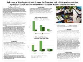 Kocuria Rhizophila.pptx