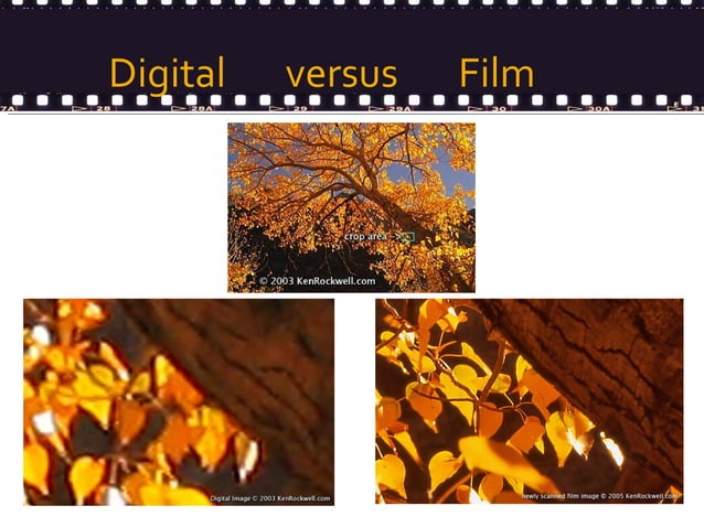 Kodak Marketing Presentation | PPT