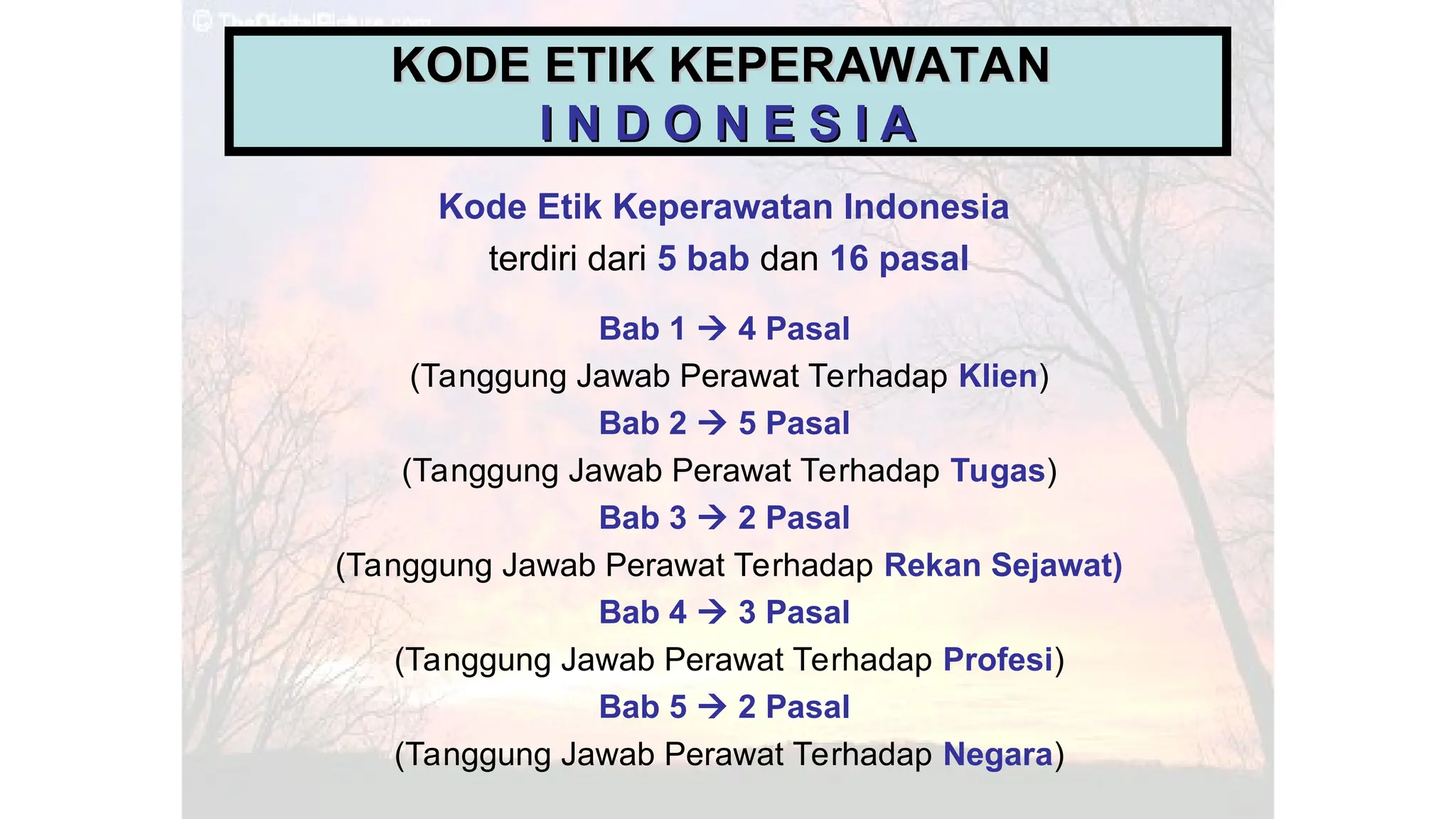 MATERI KODE ETIK KEPERAWATAN INDONESIA PPT | PPT
