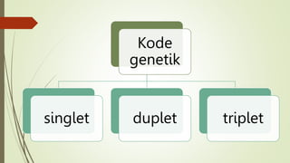 KODE GENETIK.pptx