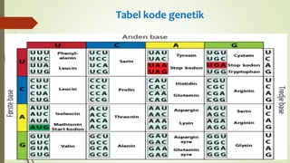 KODE GENETIK.pptx