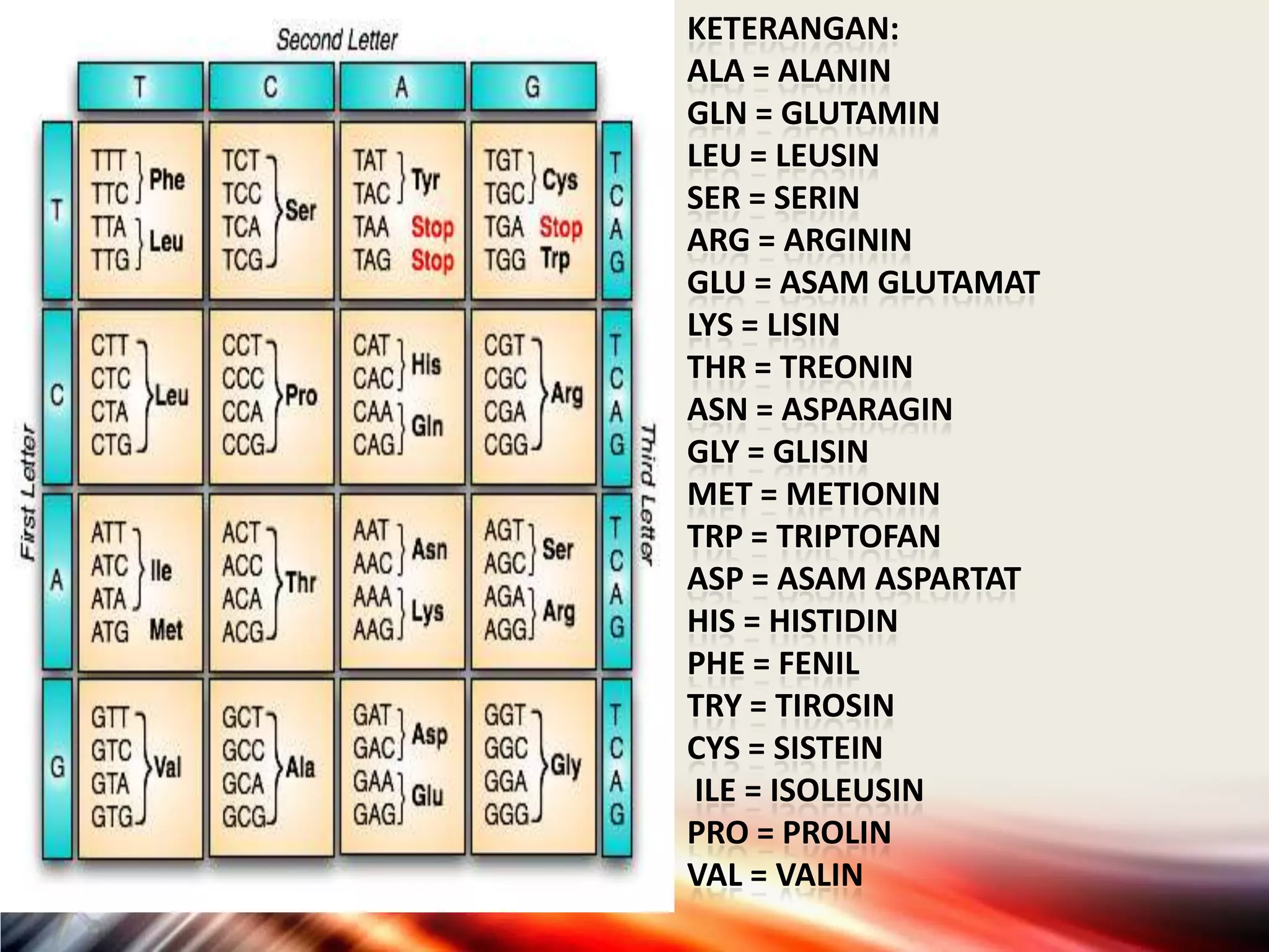 Kode genetik dan sintesis protein | PPTX
