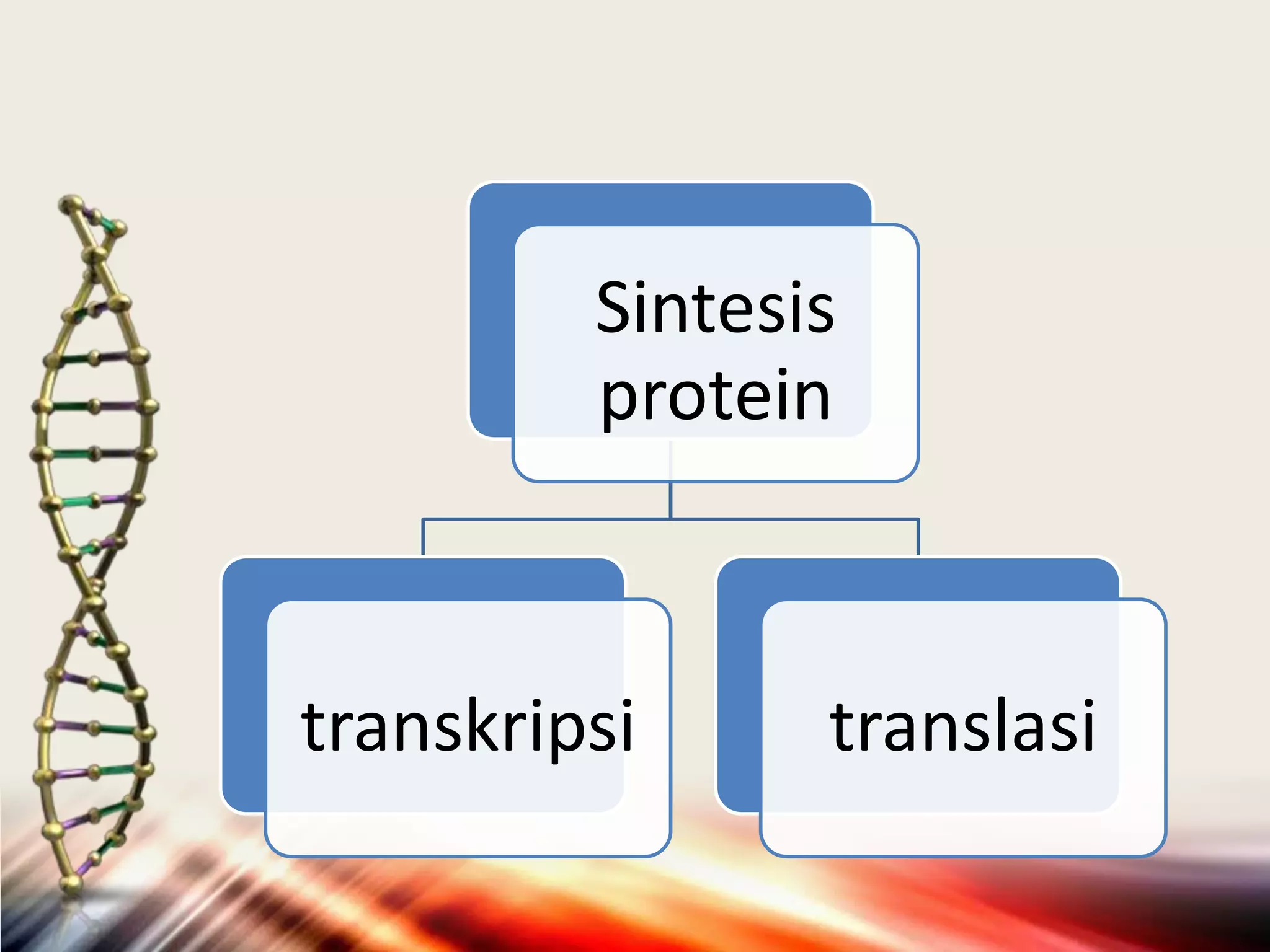 Kode genetik dan sintesis protein | PPTX