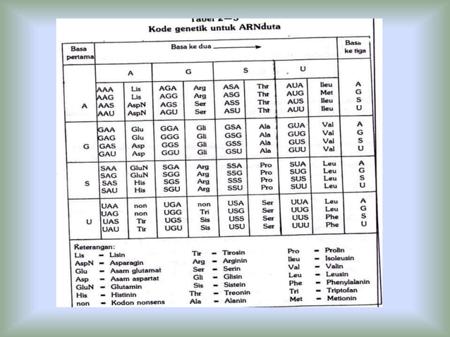 Kode genetik dan sintesis protein | PPTX