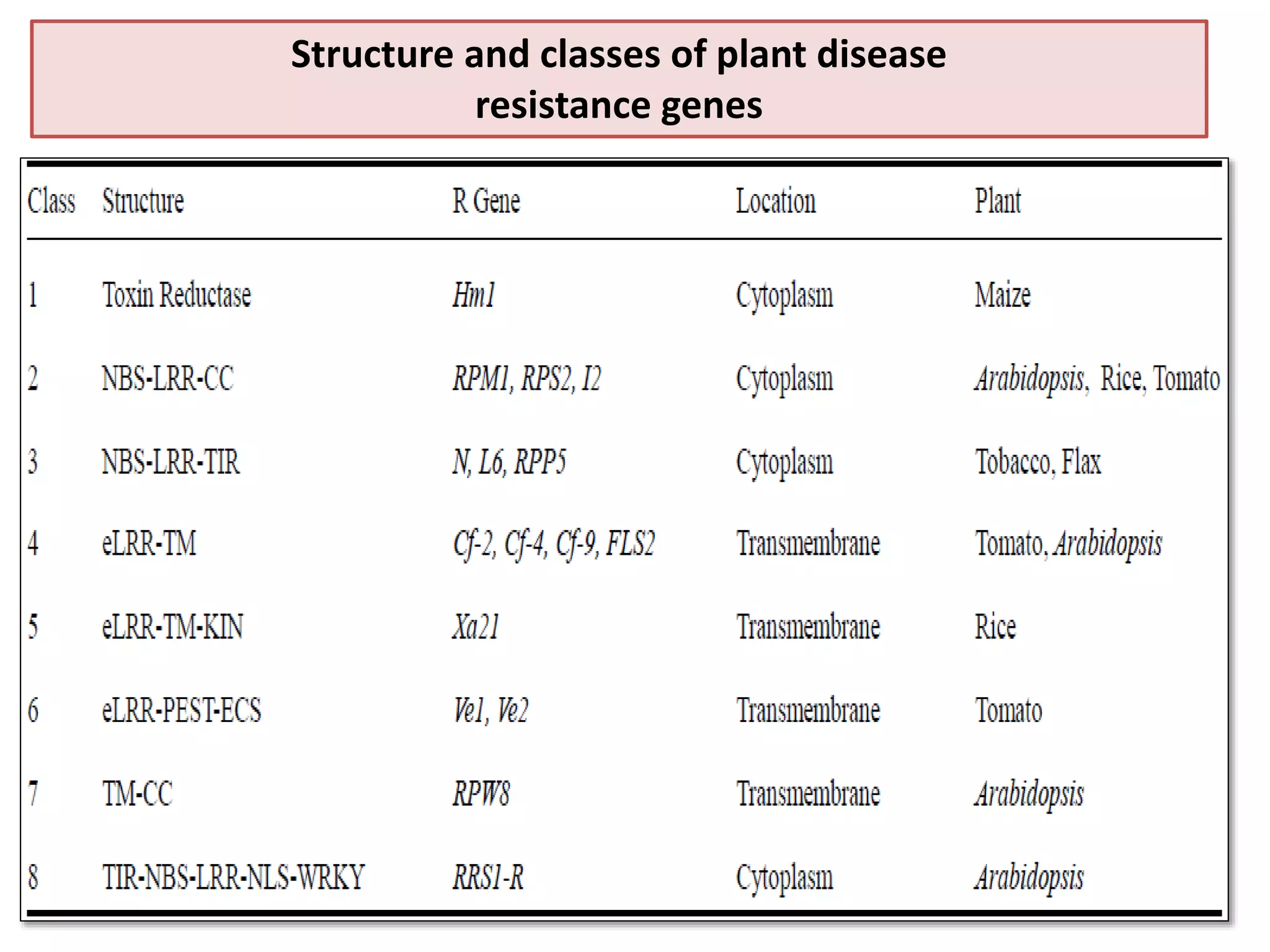 R GENES | PPTX